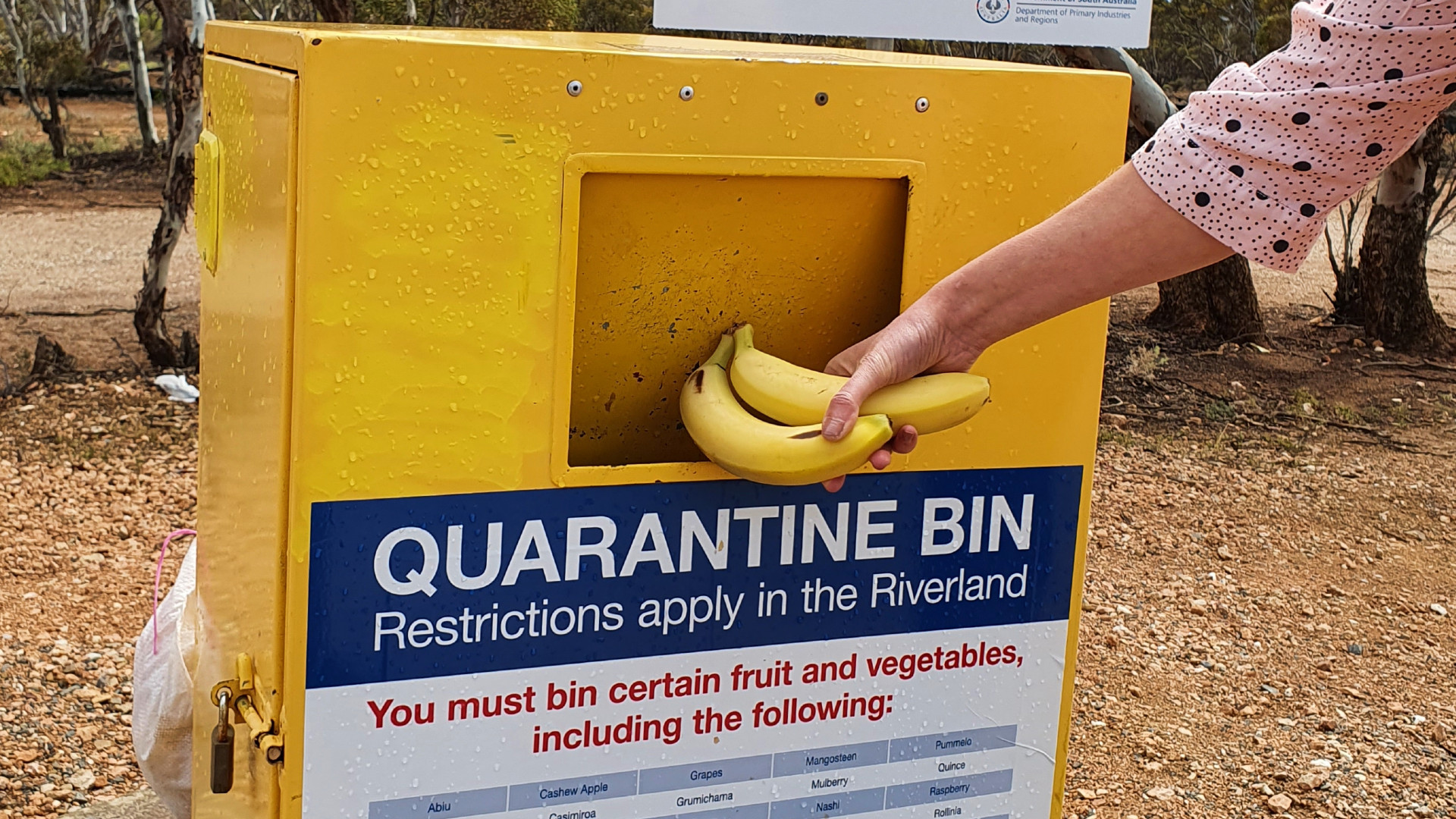 Find a quarantine station or disposal bin - PIRSA